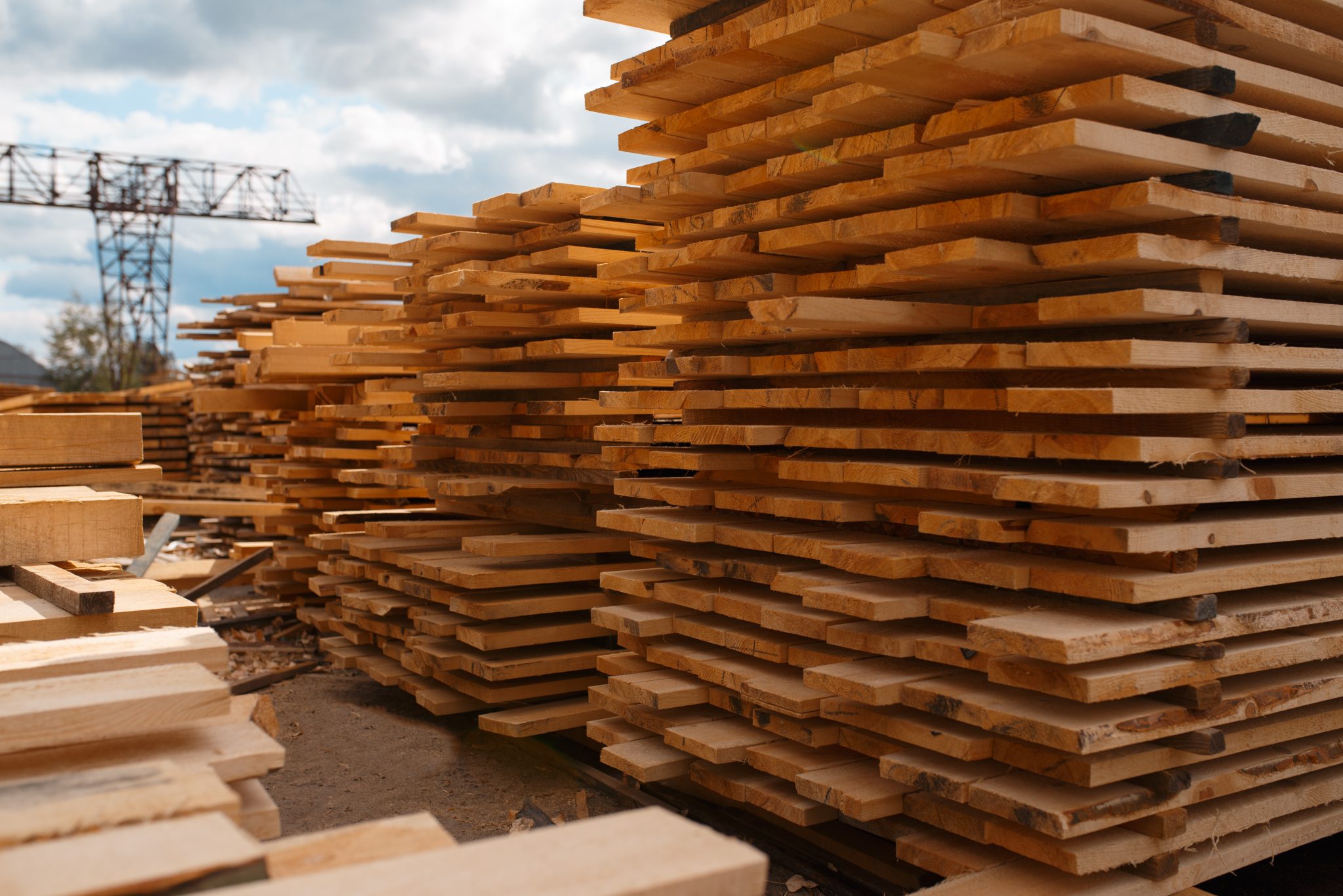 Top Meranti Timber Supplier in Malaysia Durable & Affordable